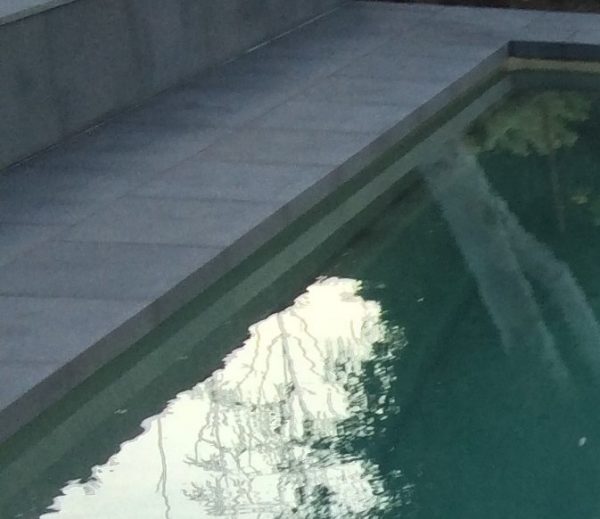 Bluestone Basalt - Bluestone Pool Coping | HL Stone World